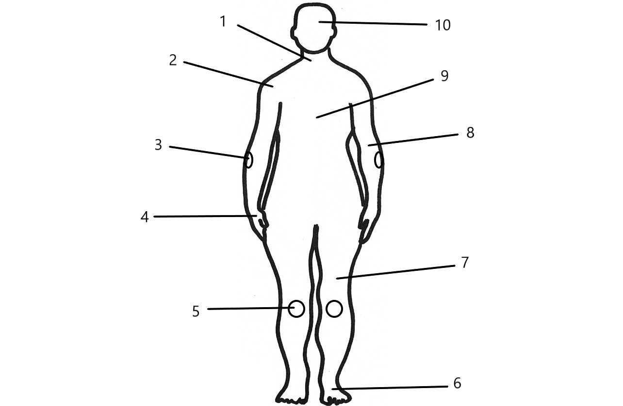Your Body Quiz Science For Kids 10 Questions Your Body Quiz Science For Kids 10 Questions